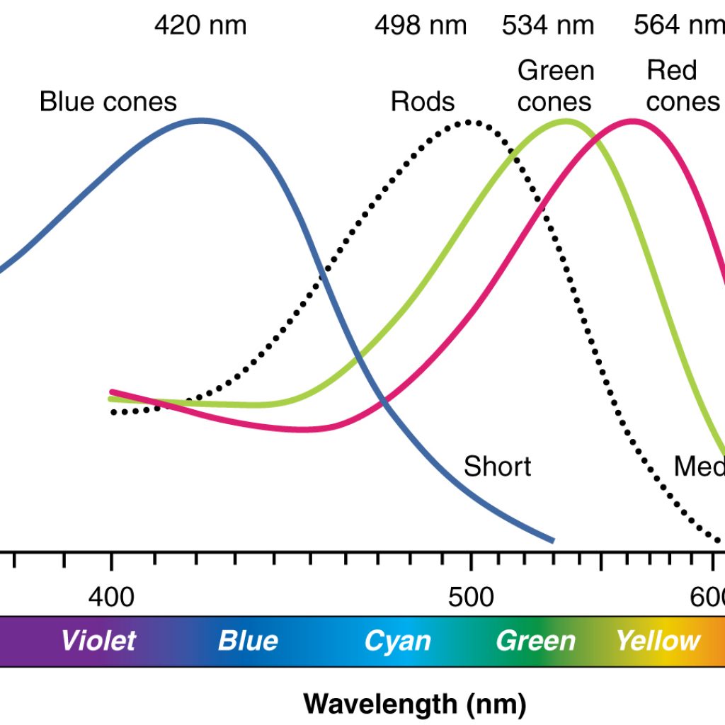 Sight, Part 1 of 2 - Caustic Soda